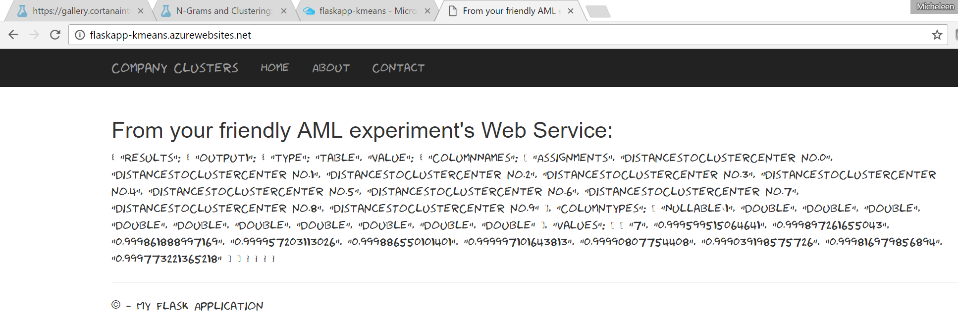 Creating a Smart Python Flask Web App using Azure Machine Learning - Black Cat Data Science